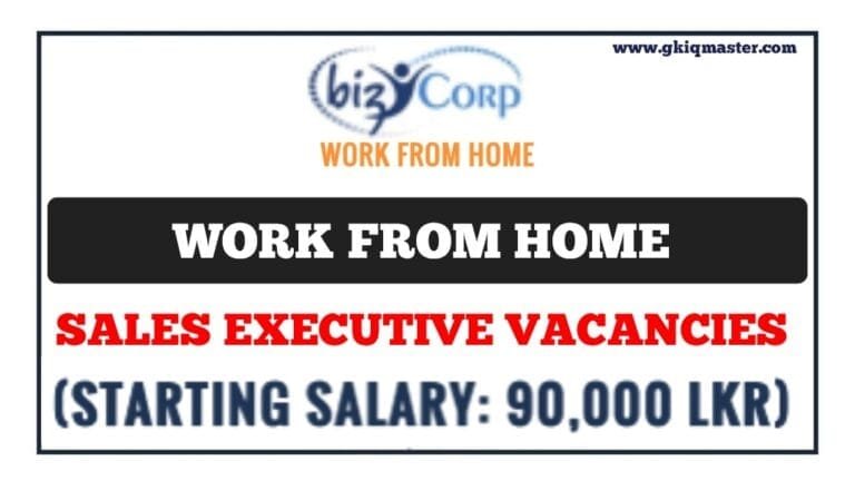 Sales Executive (Work From Home) Vacancies - BizCorp 2023
